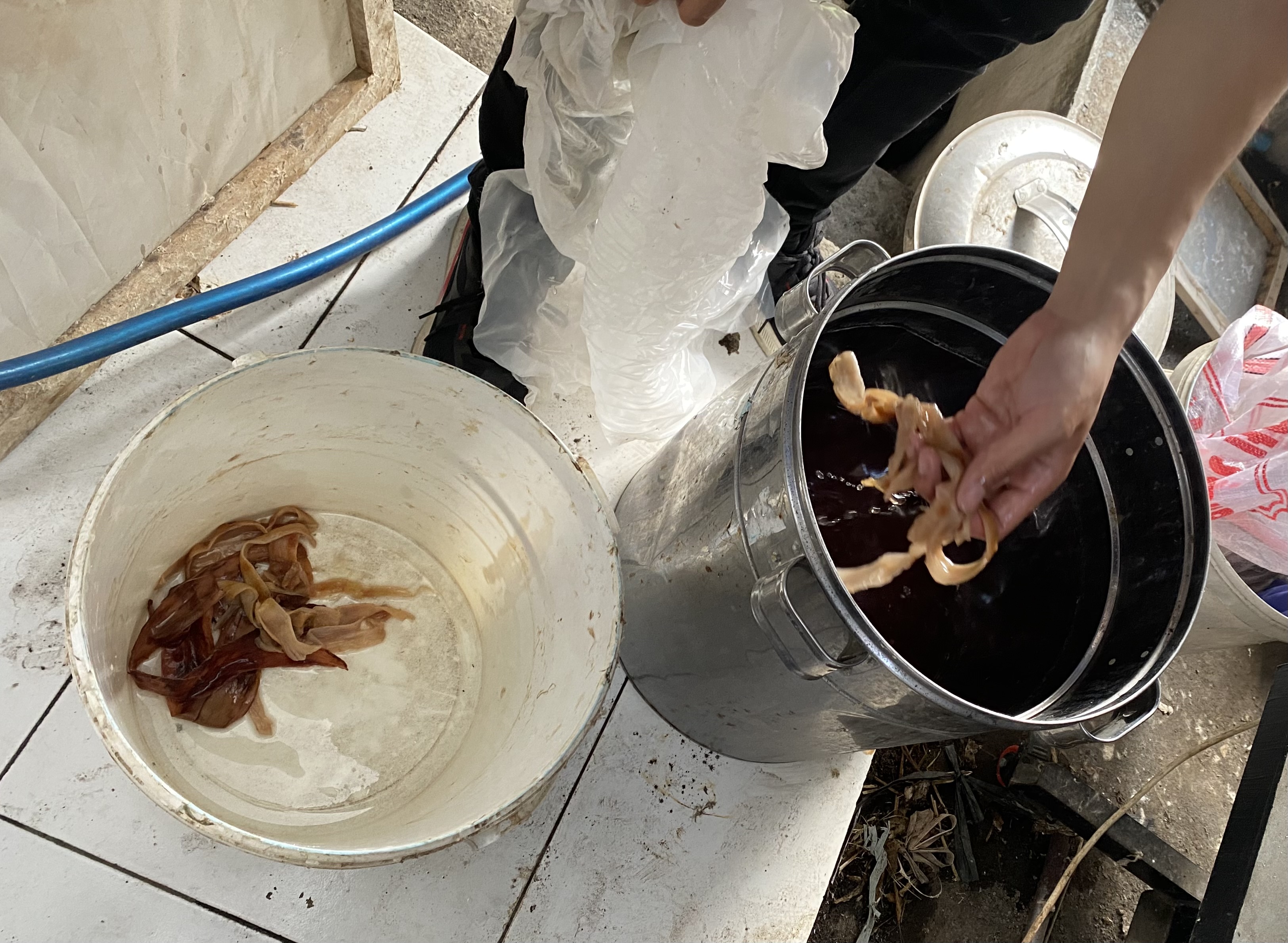 Usaha Daluang Kreatif – Papermaking Studio – Ina Arraoui